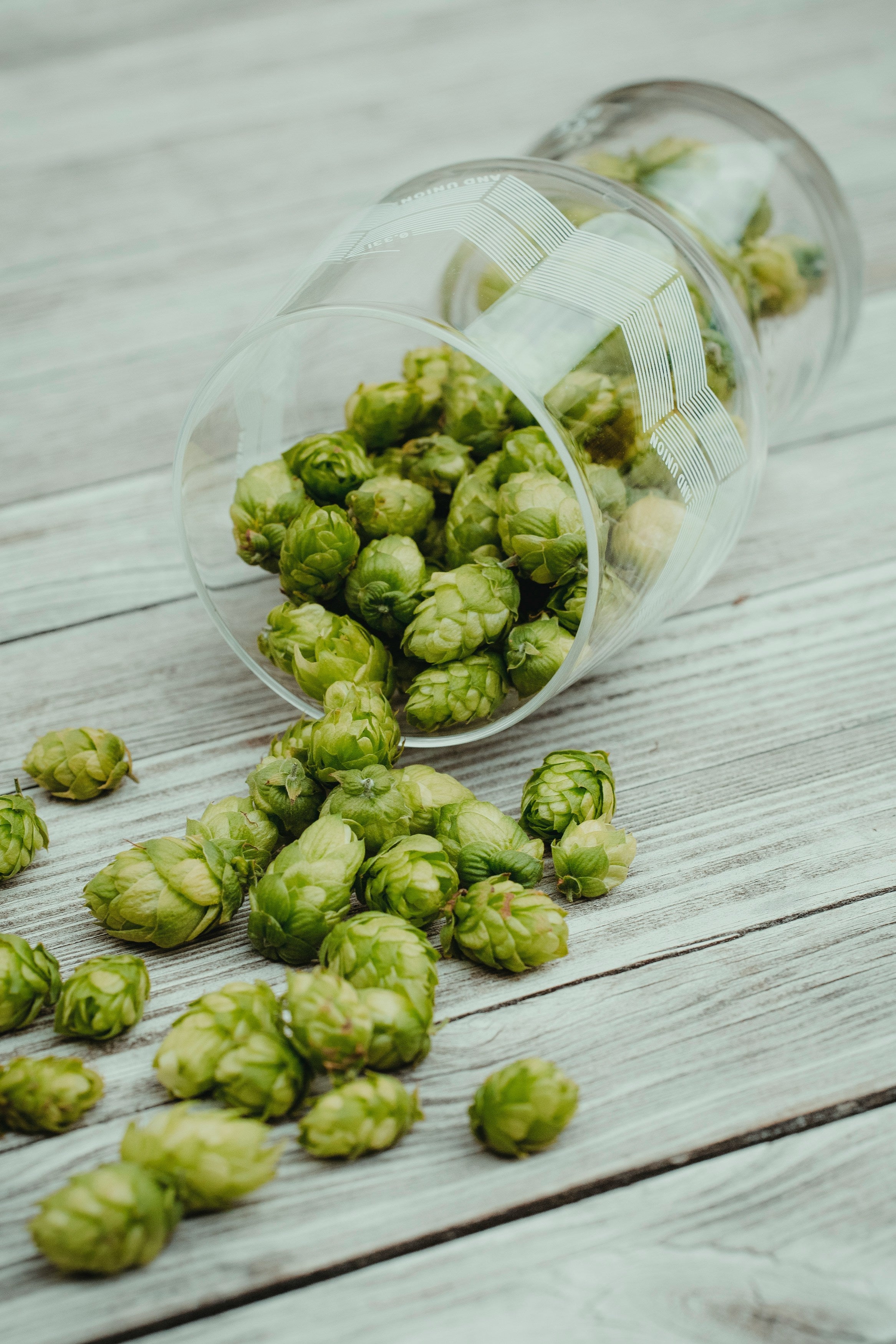 Hops, Malt & Grain for Home Brewing - Edmonton, Alberta, Canada – Brew ...
